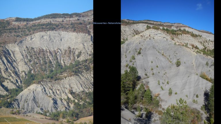 Sciences et Nature-geologie-roches et paysages