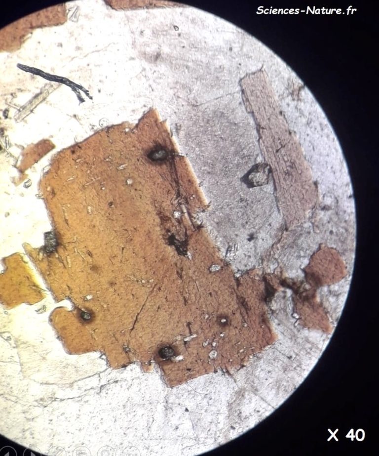 Auréoles de désintégration radioactive autour de zircons - Sciences ...