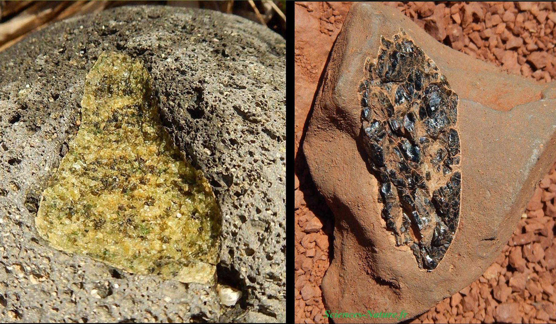 Enclaves de péridotite et pyroxénite : des échantillons du manteau ...