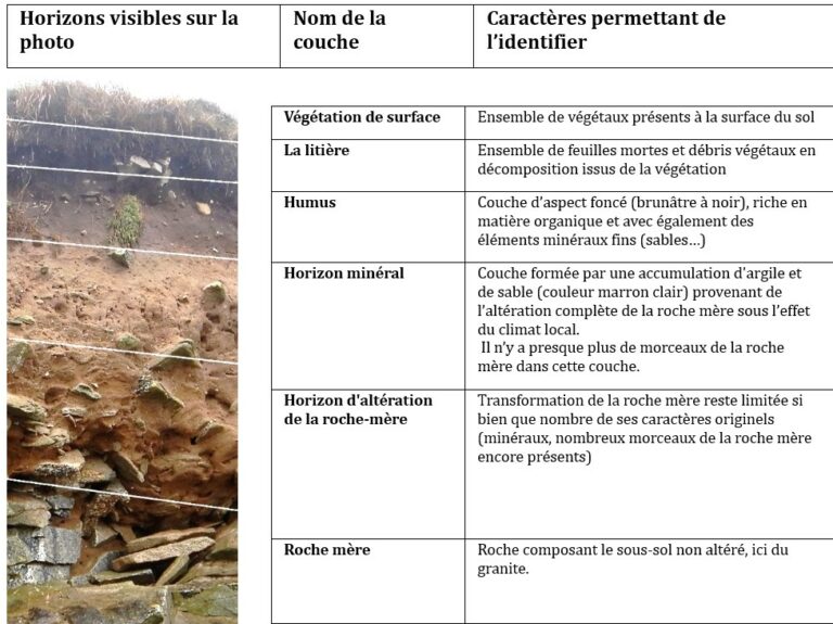 Composition du sol - Sciences-nature.fr