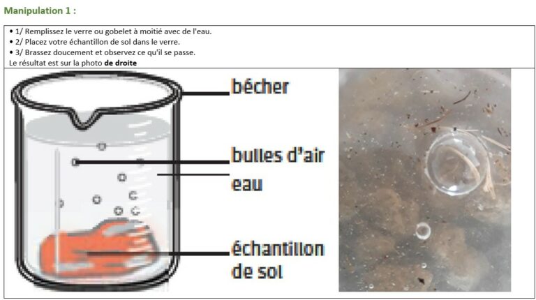 Composition du sol - Sciences-nature.fr