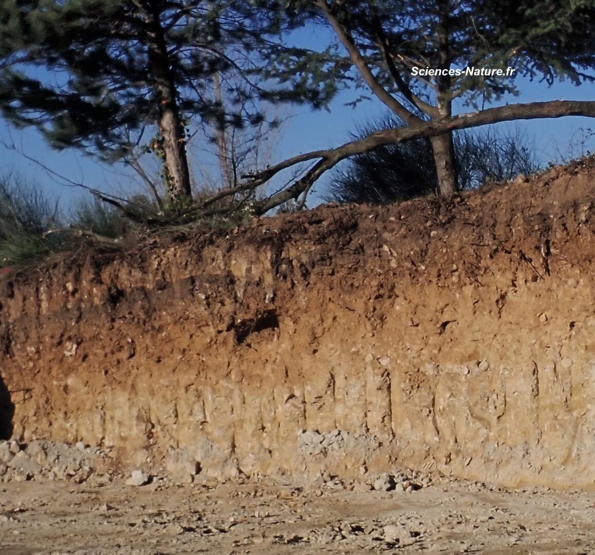 Importance du sol - Sciences-nature.fr